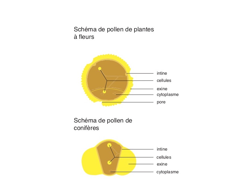 The Antropocene style | ARchi-FOod